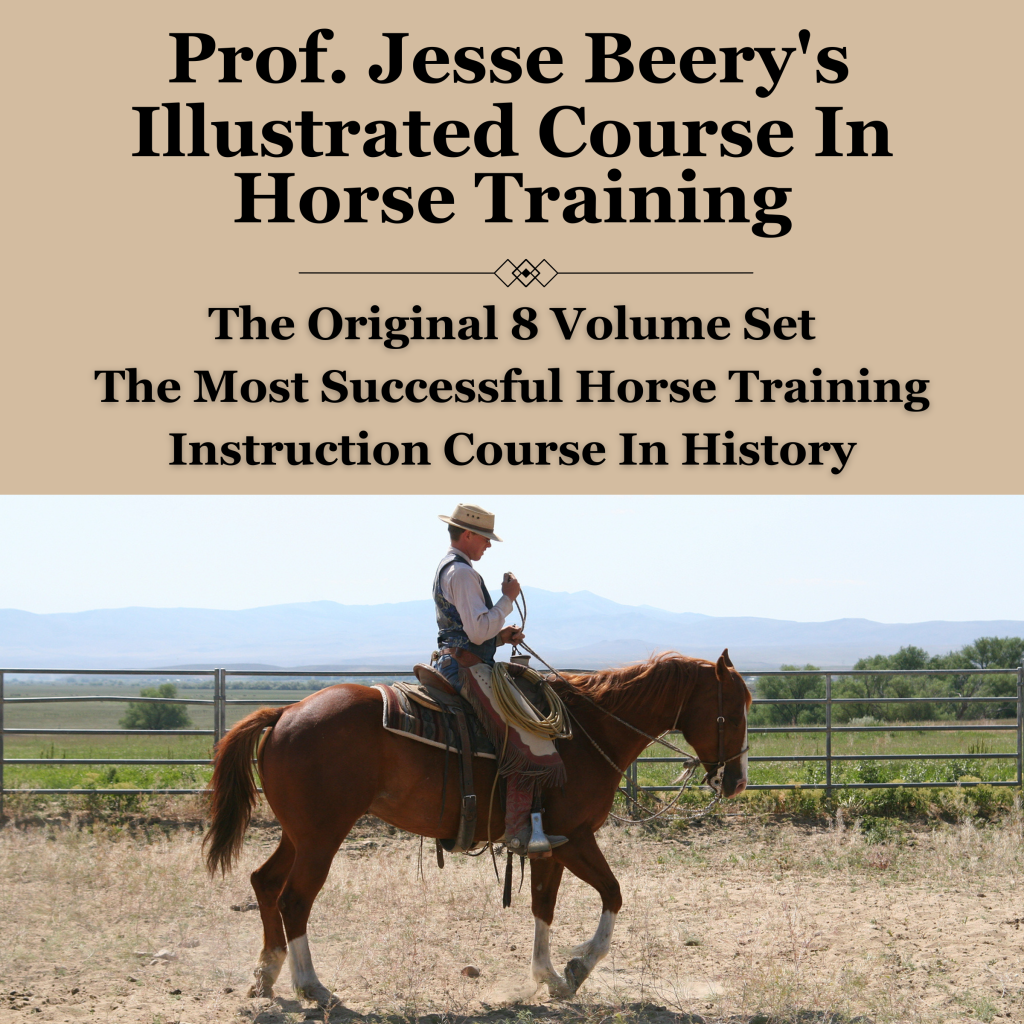 Horse Training Resources – Horse Riding and Training - Horse Training ...